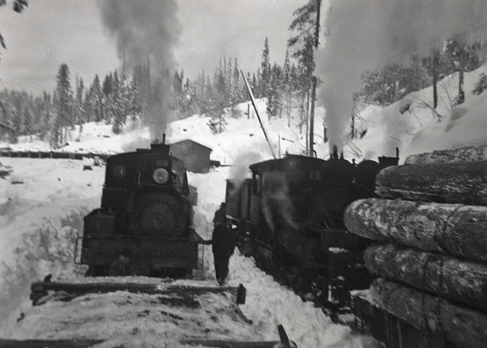 A History Of Idaho's Logging Railroads