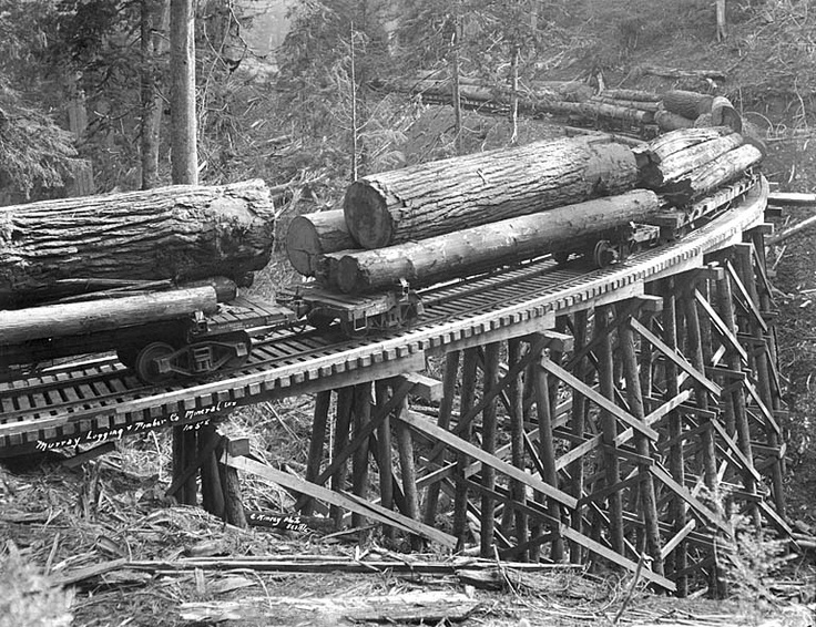 Colorado Logging Railroads: History, List, Overview