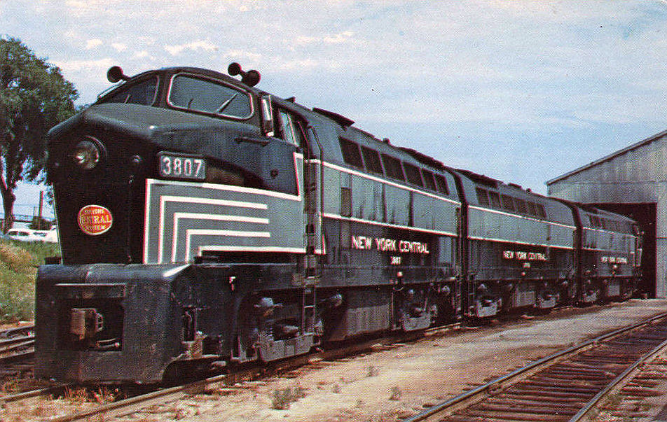 The Baldwin Sharknose the-baldwin-sharknose